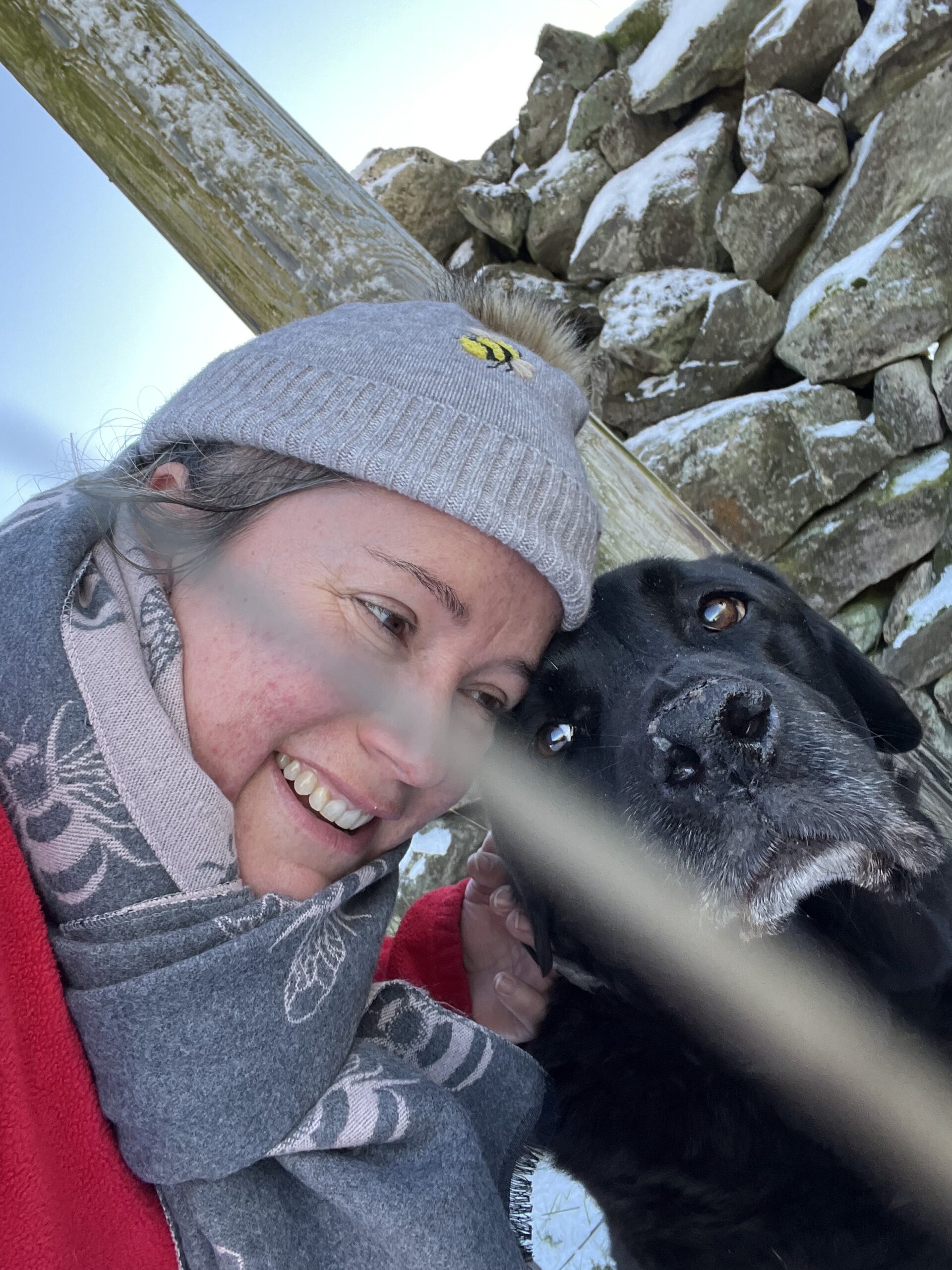 About Us : Parc Vetcare – Bangor